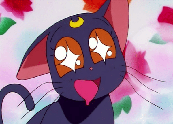 Sailor Moon Newbie Reviews: Episodes 178-179 – The Josei Next Door